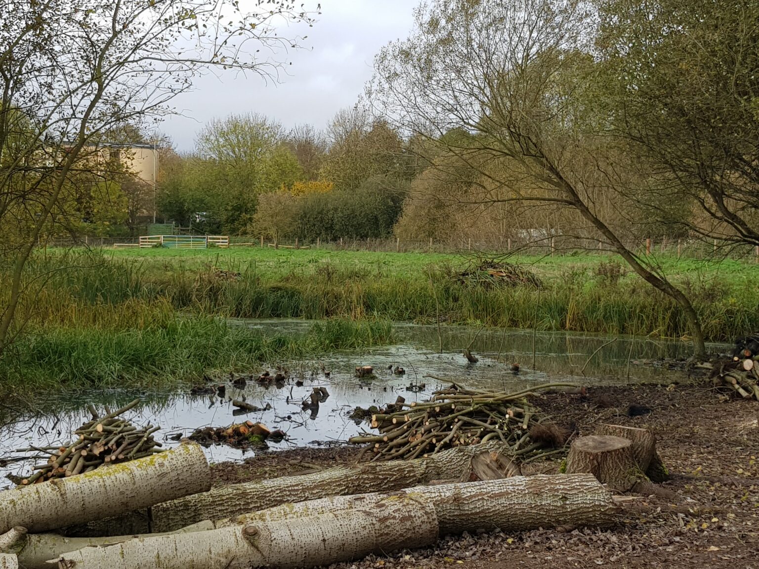 Welcome to Bury Water Meadows Group - Bury Water Meadows Group