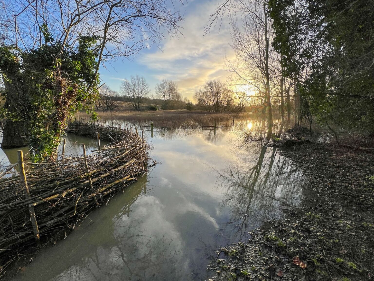 Monthly Column March 2026 - Bury Water Meadows Group